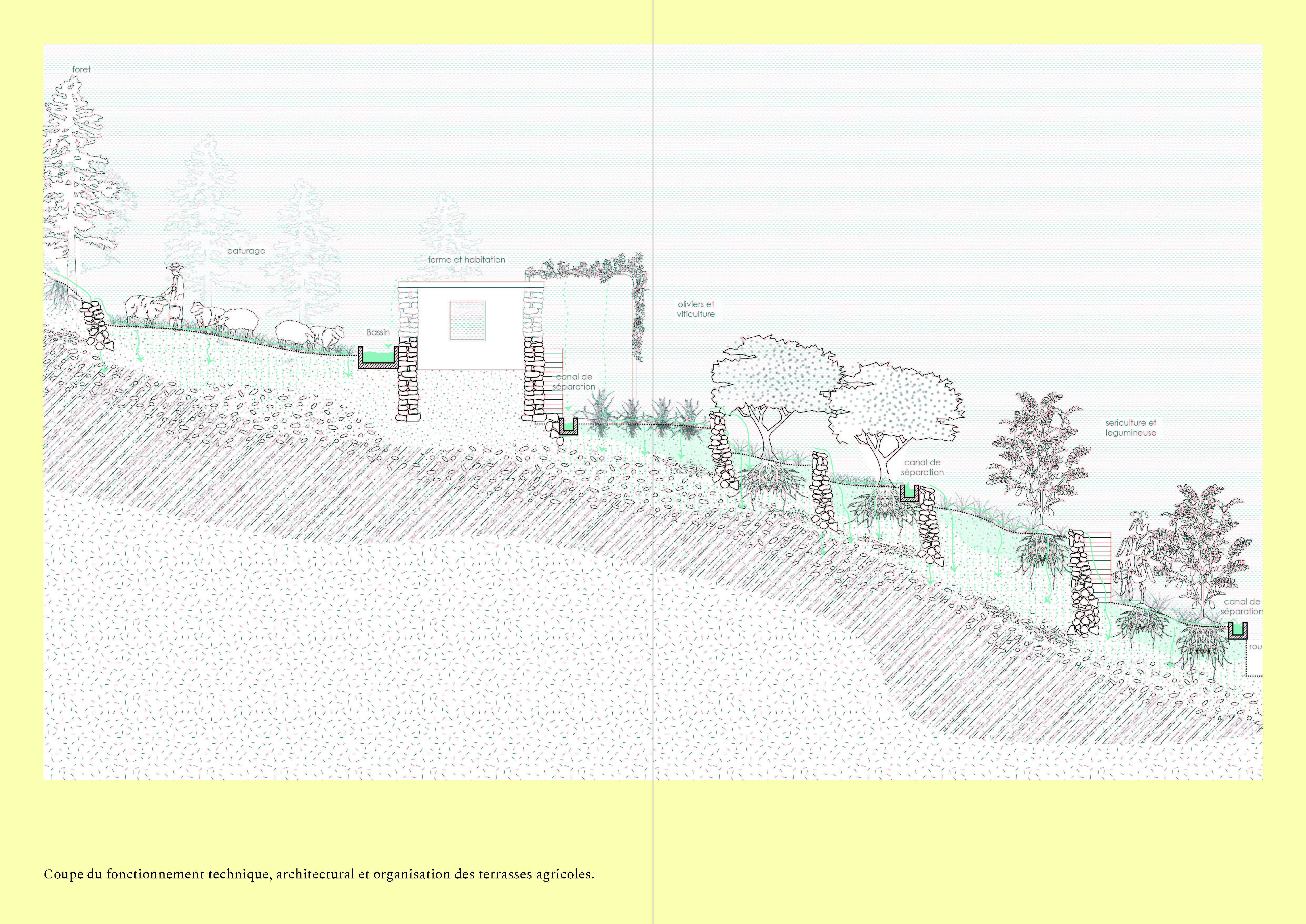 Ensa Paris-Est — Mélissa Anis